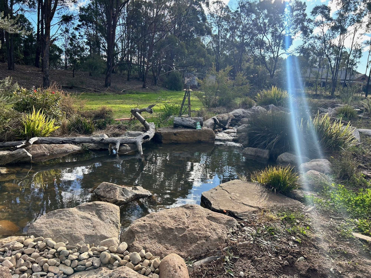 Windsor Downs – Wildlife Sanctuary – Sydney Waterscapes
